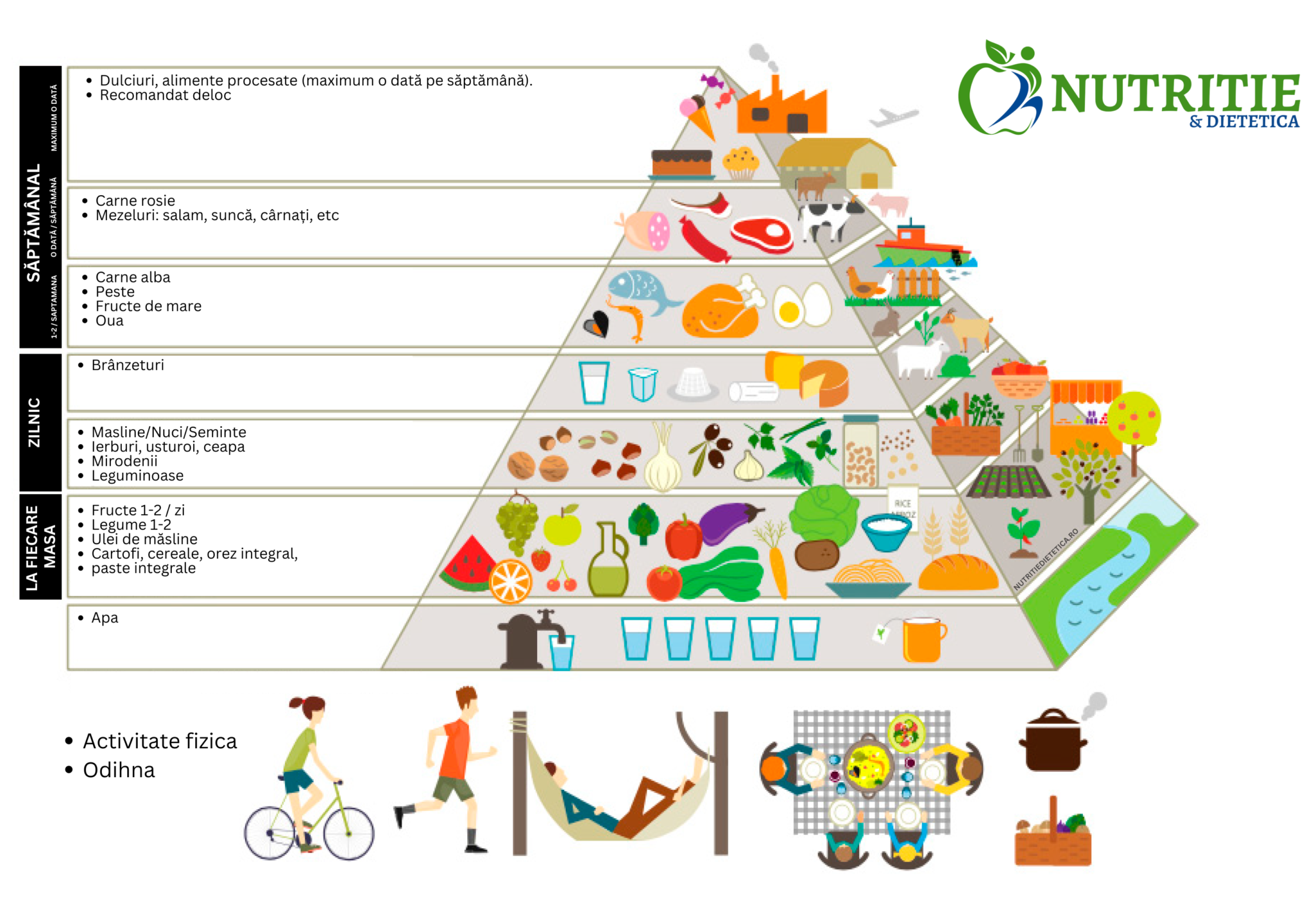 Piramida alimentelor: ce este, cum funcționează (10+ imagini cu ...